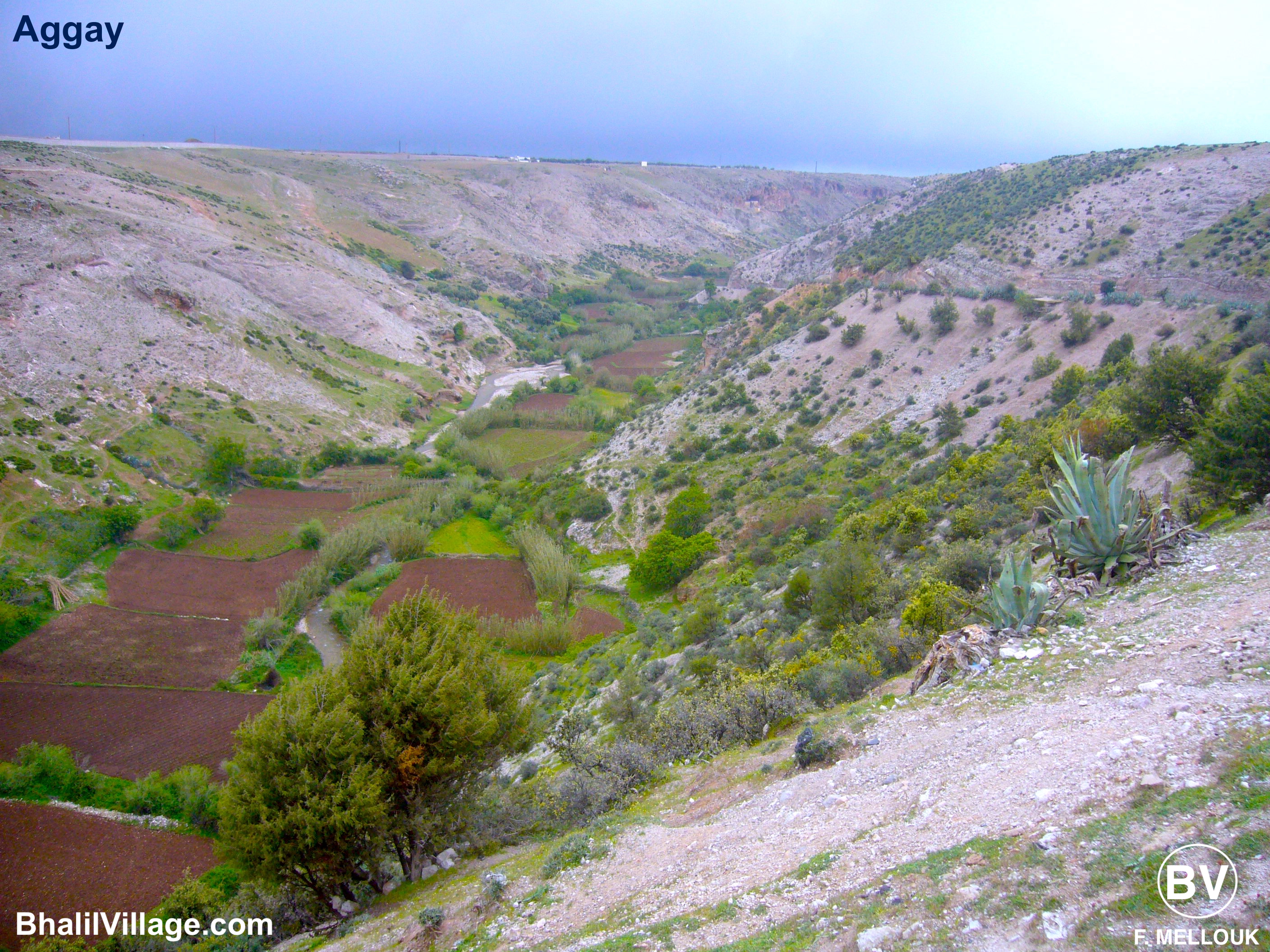BHALIL VILLAGE : Mémoire et Souvenirs d'une cité troglodyte au Maroc.
